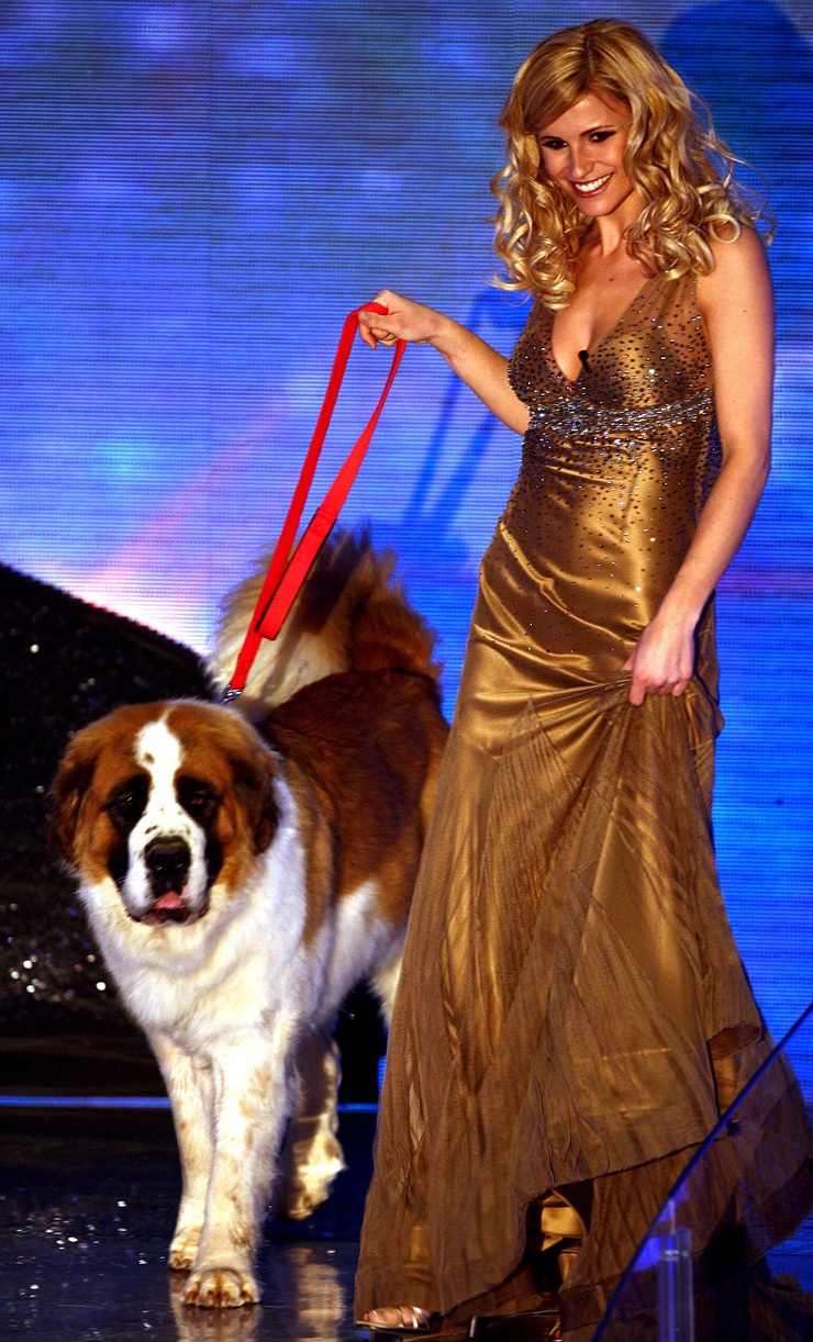 Picture of Michelle Hunziker