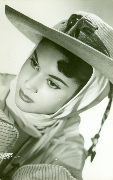 Ana Bertha Lepe image