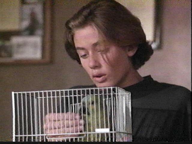 Christopher Pettiet image