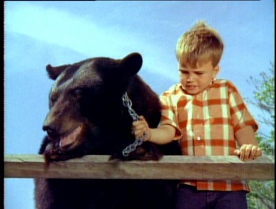 Picture of Gentle Ben