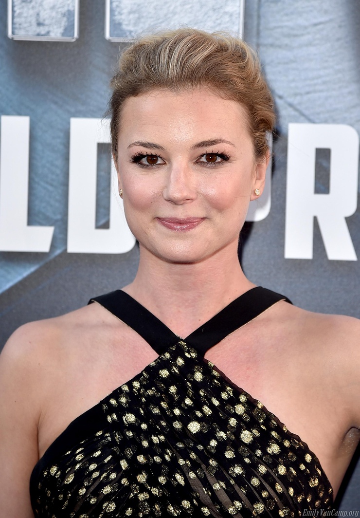 Picture of Emily VanCamp
