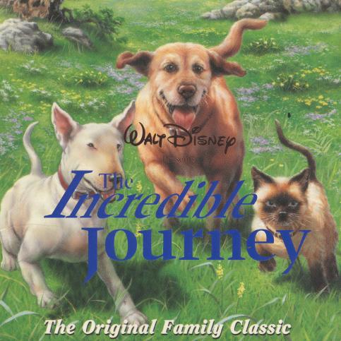 The Incredible Journey image