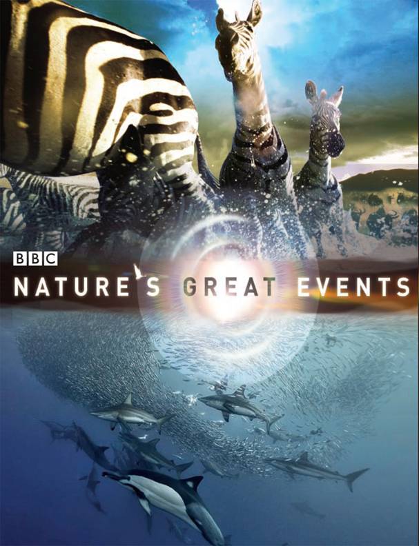 Picture Of Nature s Most Amazing Events picture-of-nature-s-most-amazing-events