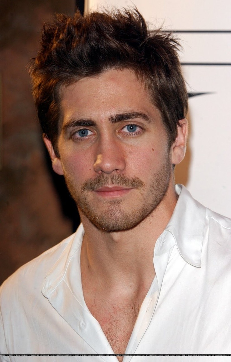 Picture of Jake Gyllenhaal
