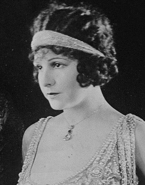 Image of The Social Secretary