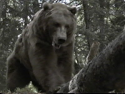 Picture of Bart the Bear