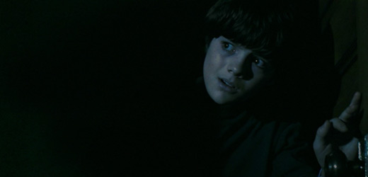 Picture of Matthew Knight