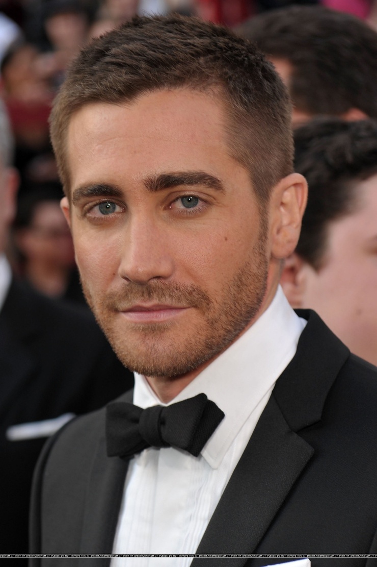 Picture of Jake Gyllenhaal