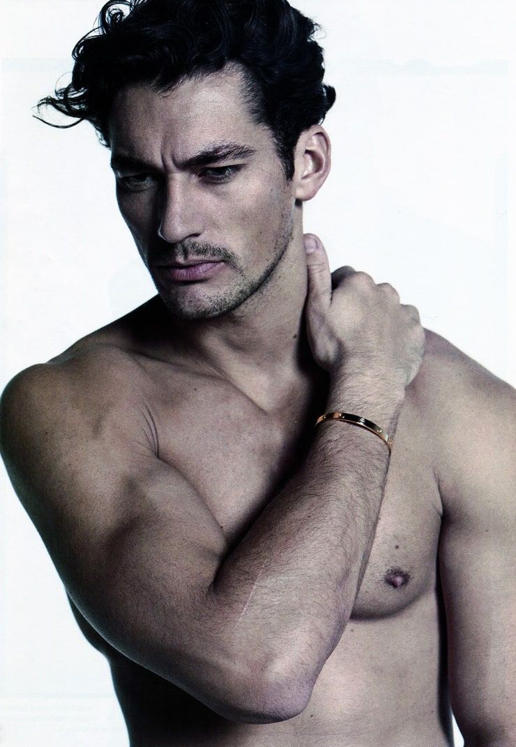 Picture of David Gandy