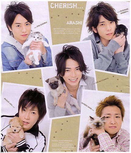Image of Arashi