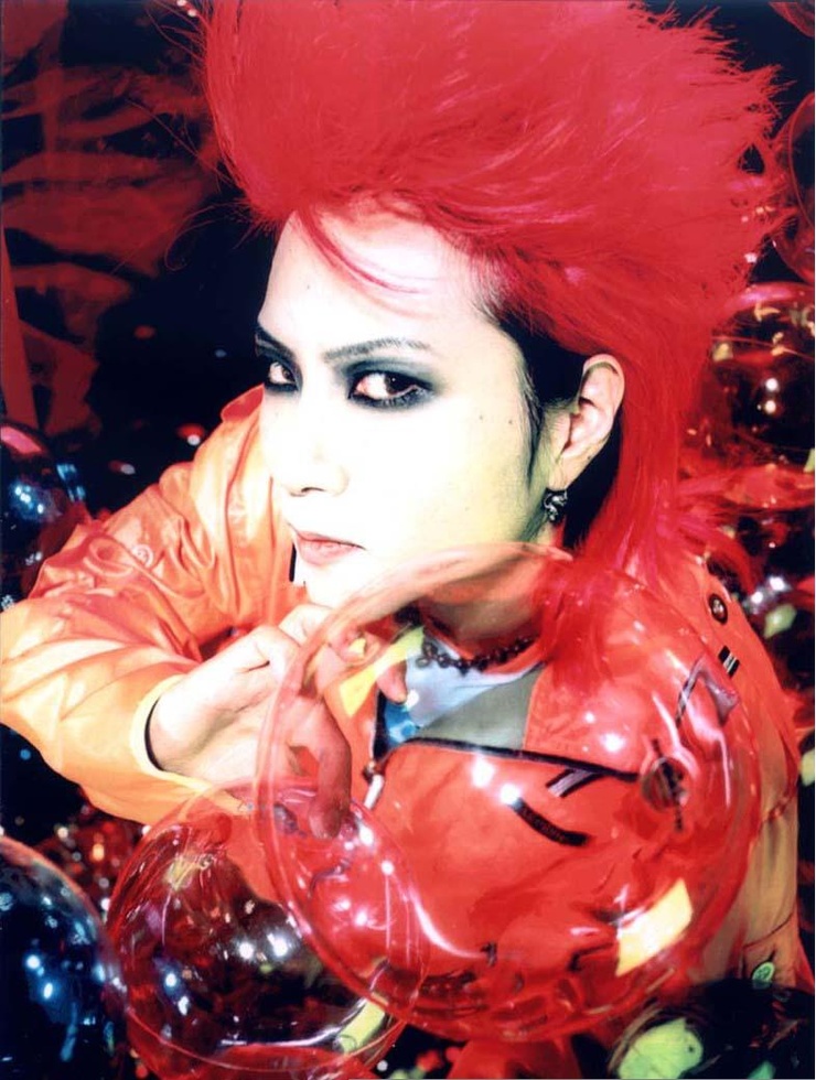 Picture Of Hide