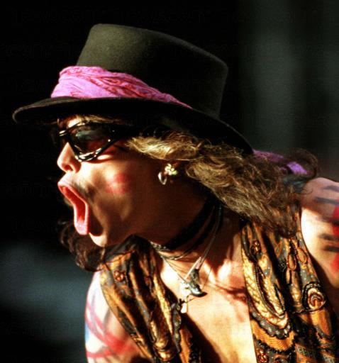 Picture of Steven Tyler
