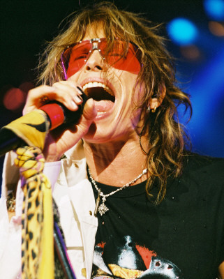 Picture of Steven Tyler