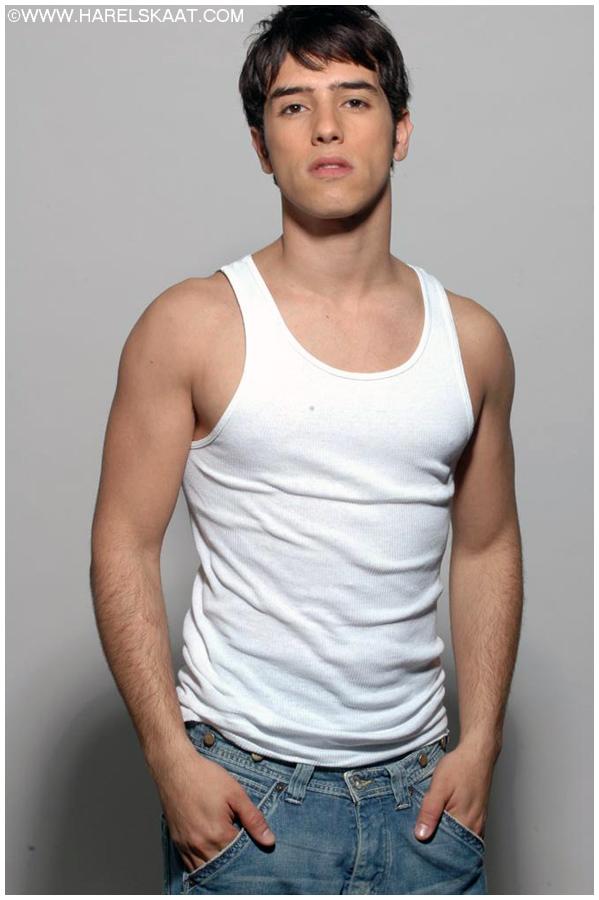 Harel Skaat picture