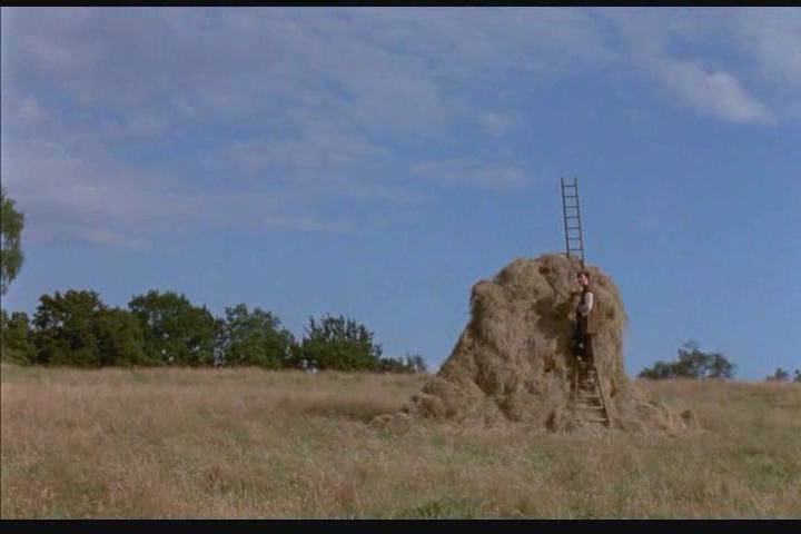 Picture of Cold Comfort Farm (1995)