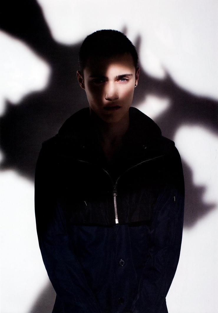 Callum Wilson picture