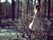 Picture of Brook Power