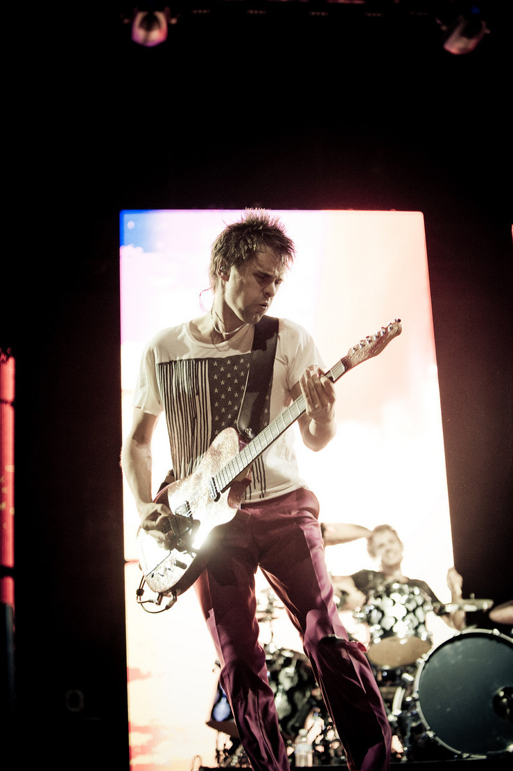 Picture of Muse
