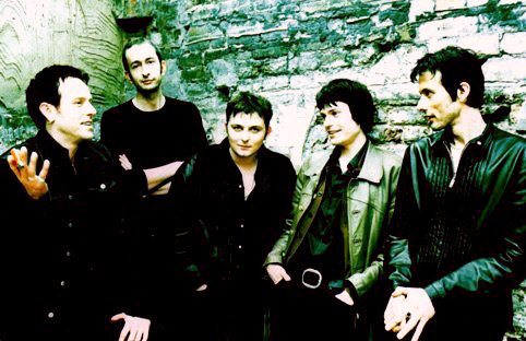Picture of Suede