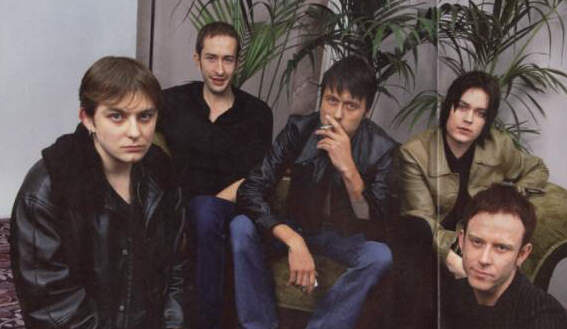 Picture of Suede