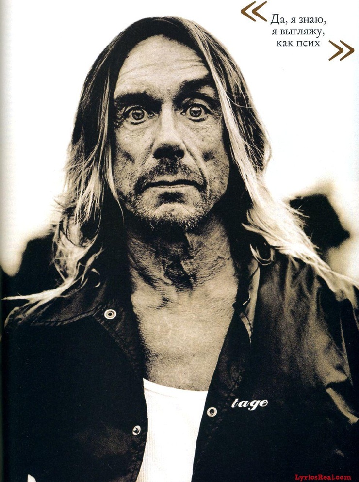 Picture of Iggy Pop