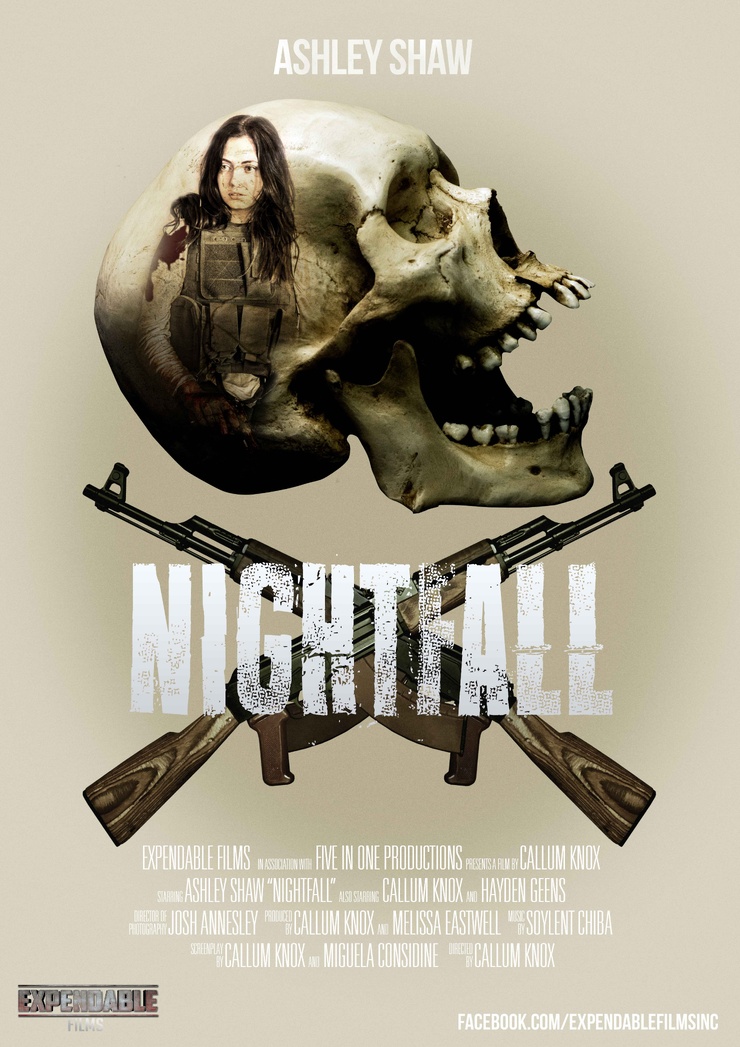 Nightfall (2016) image