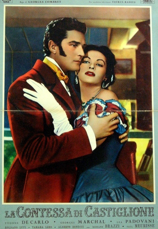 Picture of The Contessa's Secret