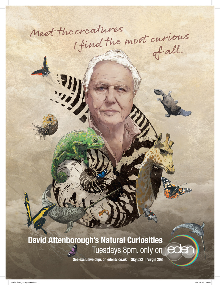 Image of Natural Curiosities