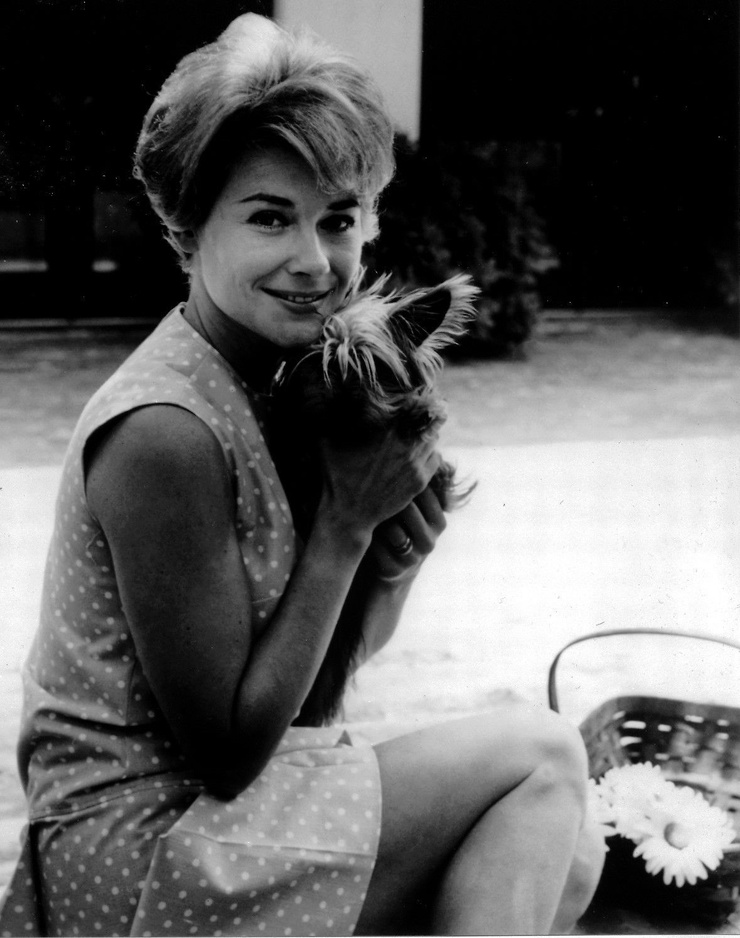 Picture of Hope Lange