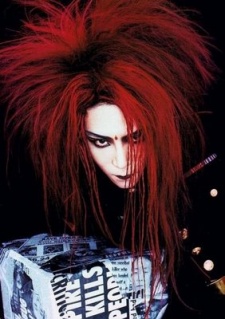 Picture of Hide