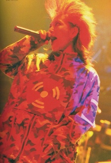 Picture of Hide