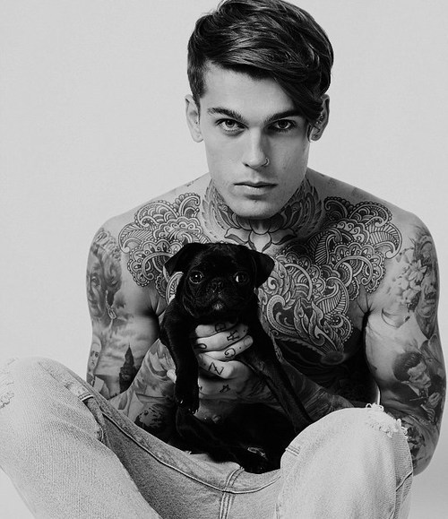 Picture of Stephen James (Model)