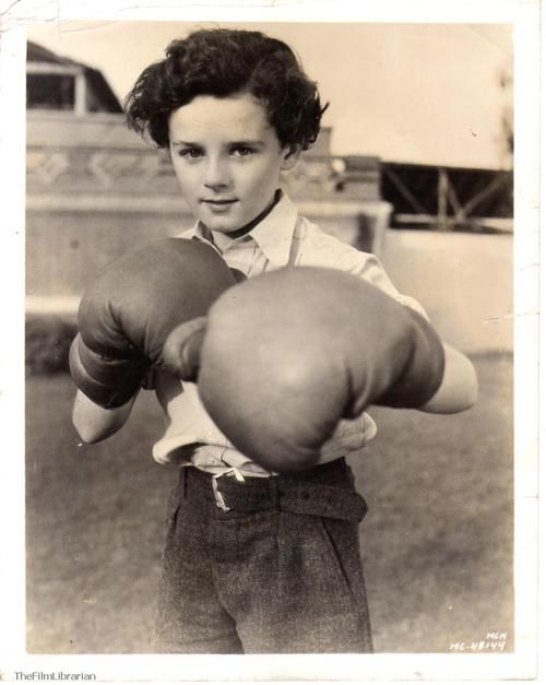 Picture of Freddie Bartholomew