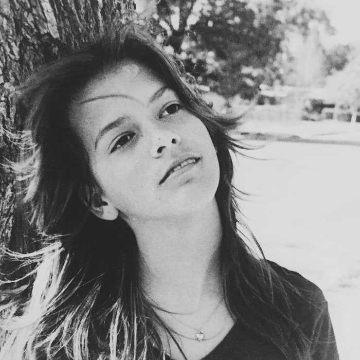 Ambrosia Parsley picture