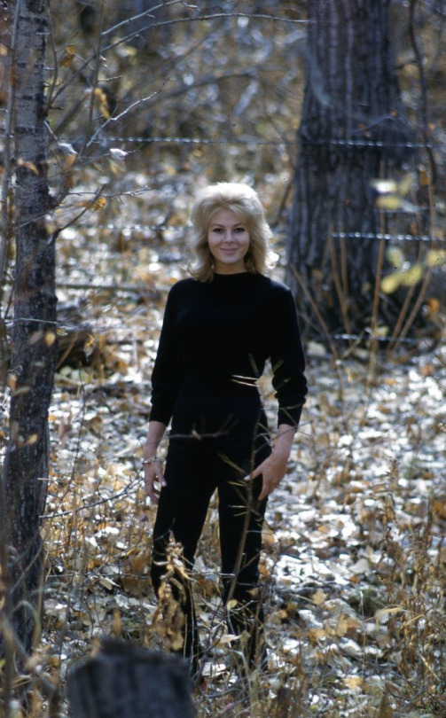 Evy Norlund image