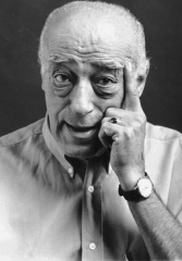 Novello Novelli image