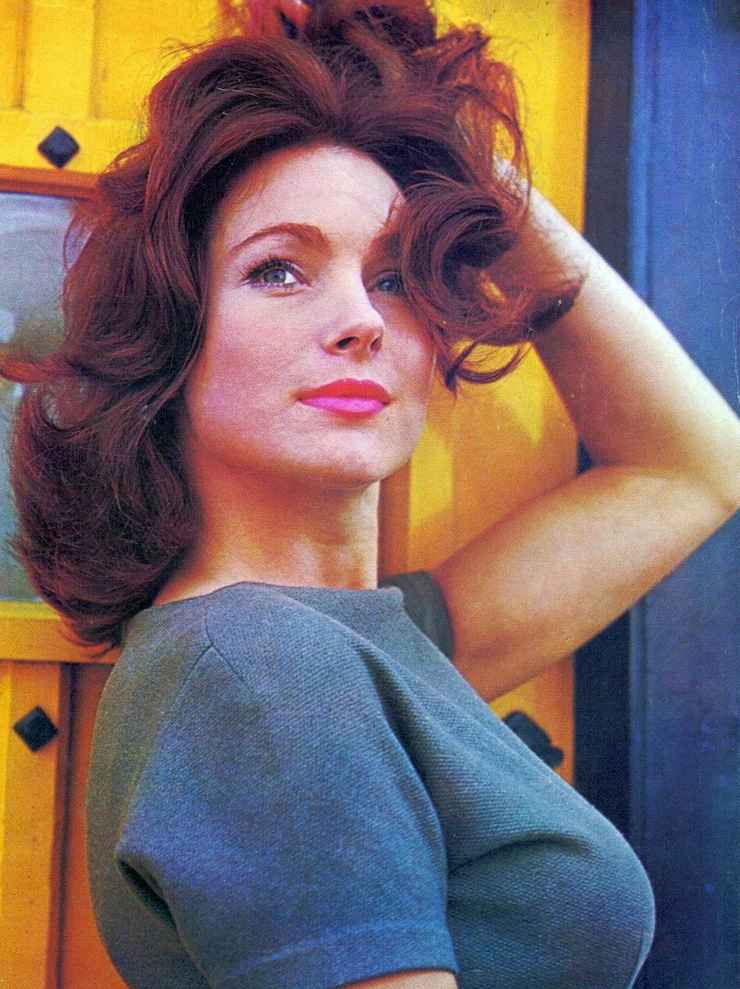 Picture of Shirley Anne Field