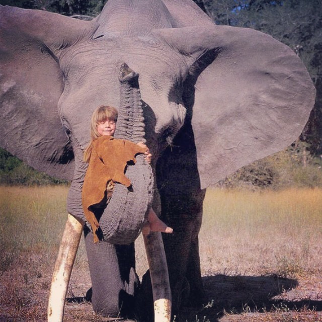 Picture of Tippi Degre