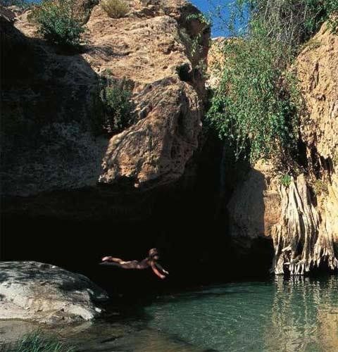 Picture of Tippi Degre