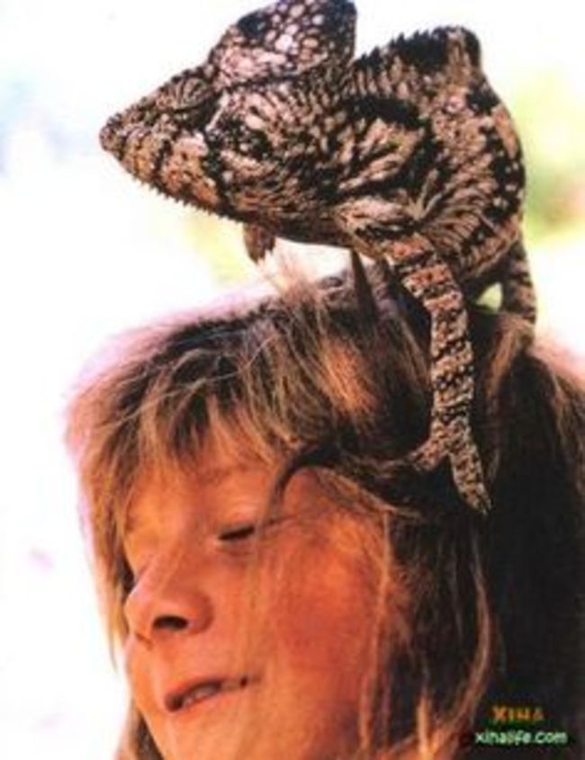 Picture of Tippi Degre