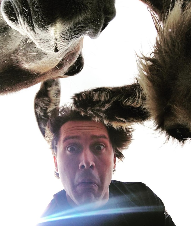 Picture of David Oakes