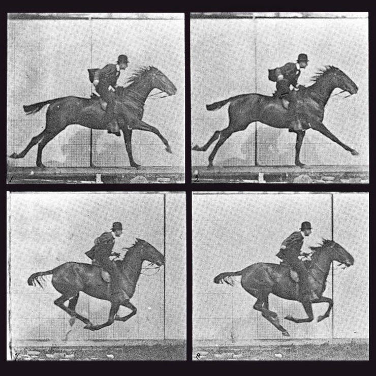 Picture of Every Frame a Painting