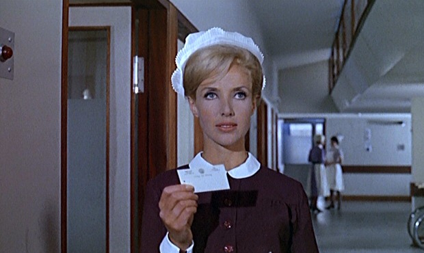 Picture of Doctor in Clover