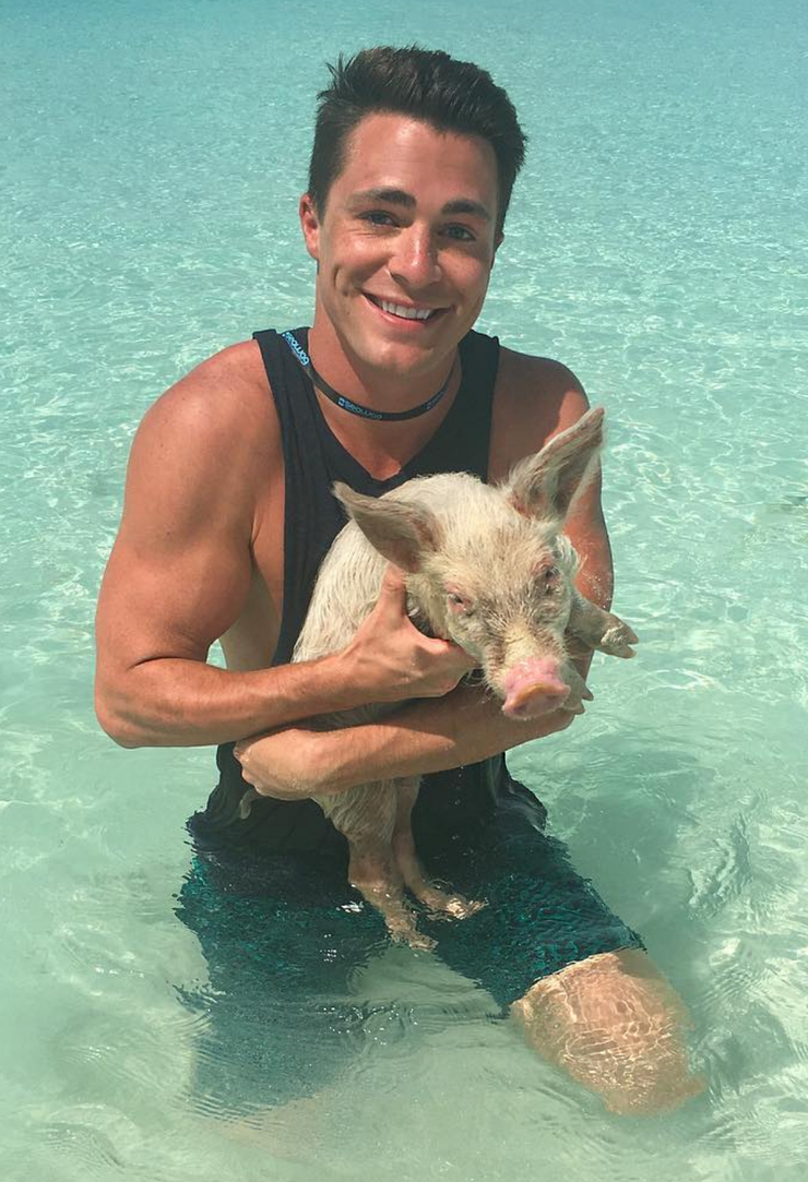 Image of Colton Haynes