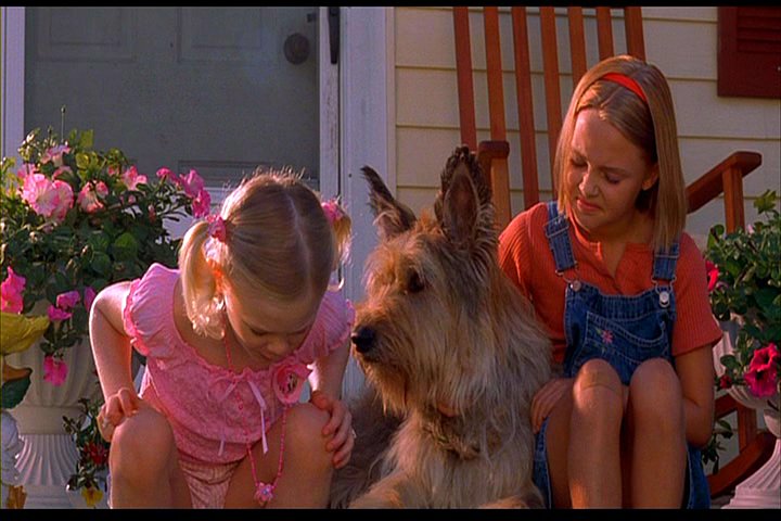 Picture of Because Of Winn-Dixie (2005)