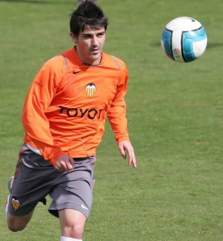 Picture of David Villa