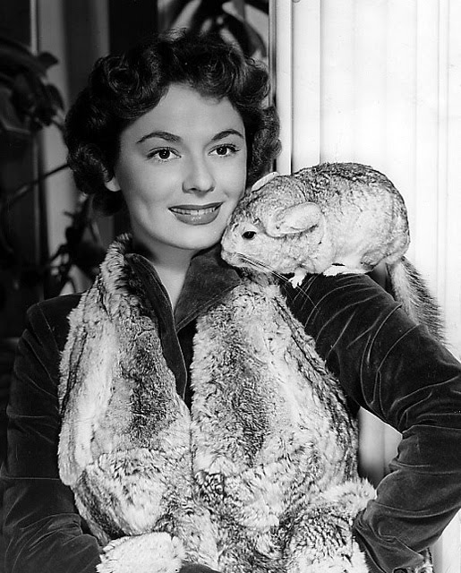 Picture of Ruth Roman
