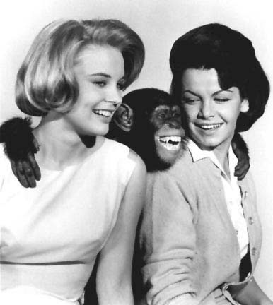 Picture of Annette Funicello