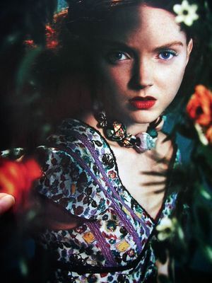 Picture of Lily Cole