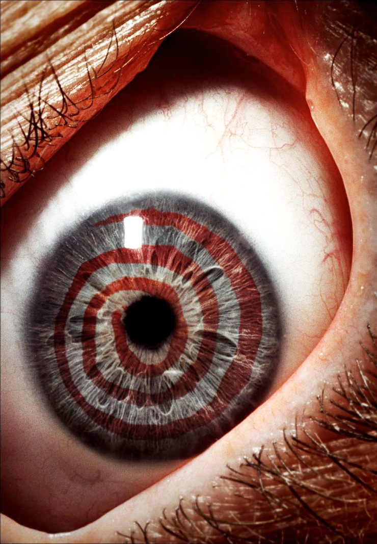 Picture of Saw: The Final Chapter